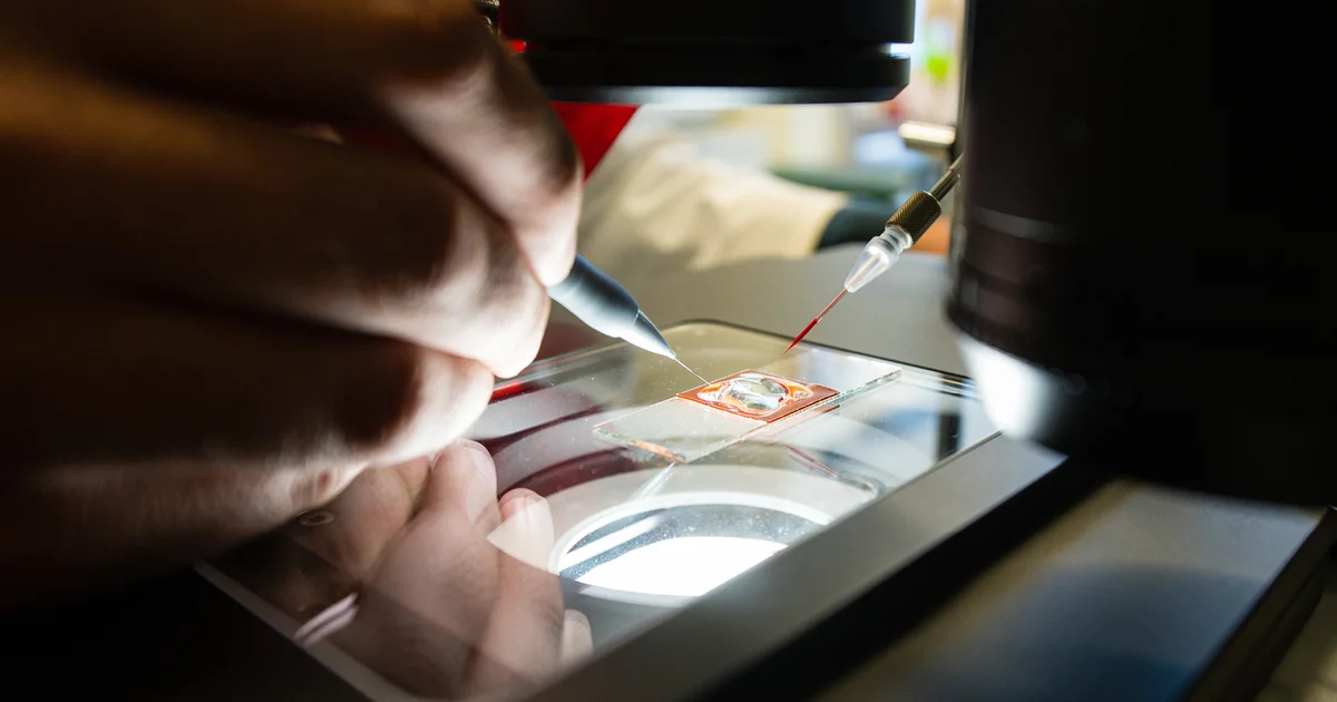 HIPS and CISPA join forces to make future active ingredients safer